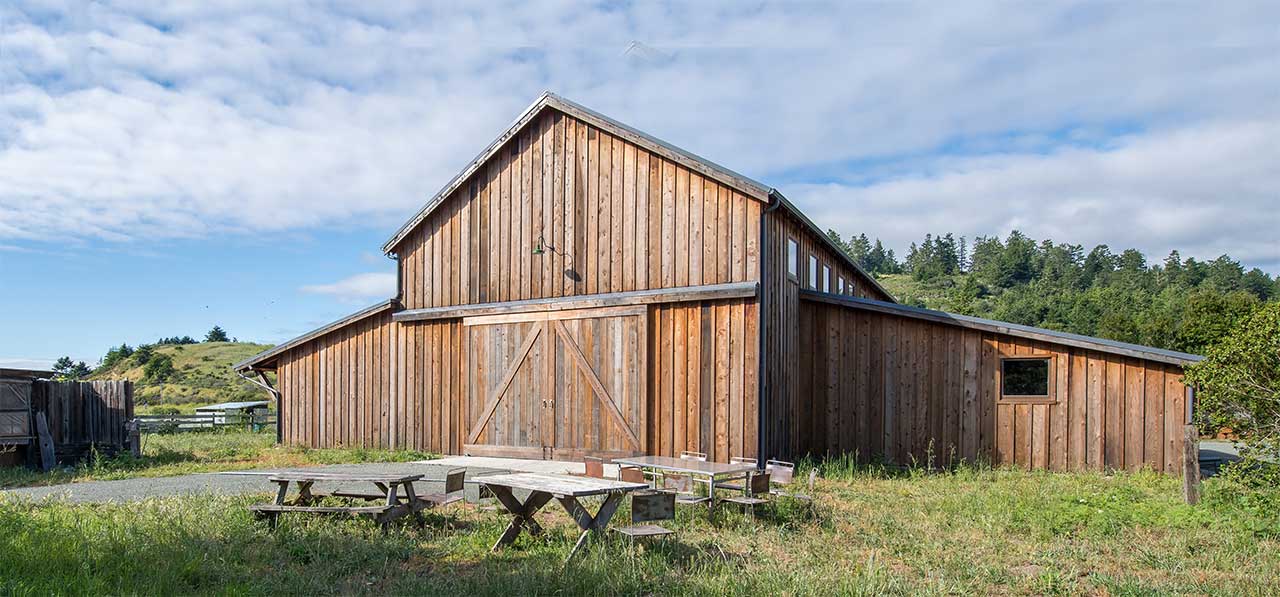 Celebrating the Root Down Barn One Year Anniversary - POST