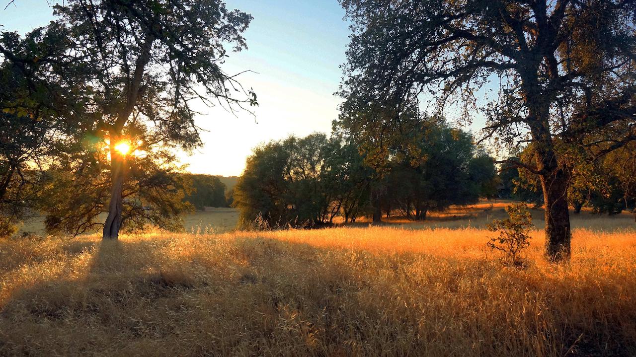 Sunset Hike at Rancho San Vicente with POST!
