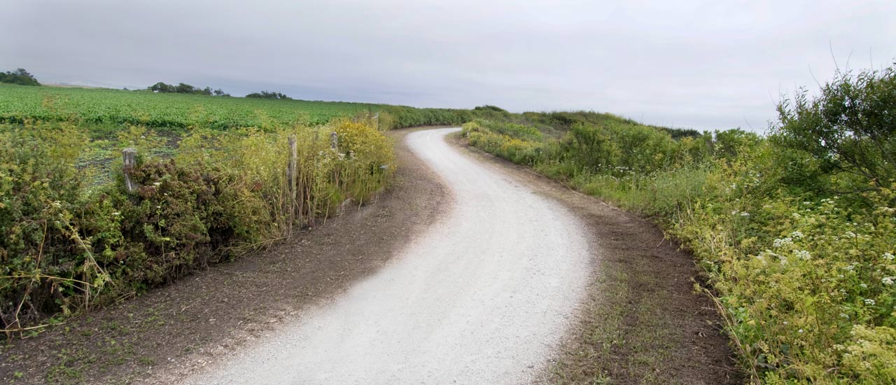 Our Favorite Wheelchair Accessible And Easy Access Trails POST our-favorite-wheelchair-accessible-and-easy-access-trails-post