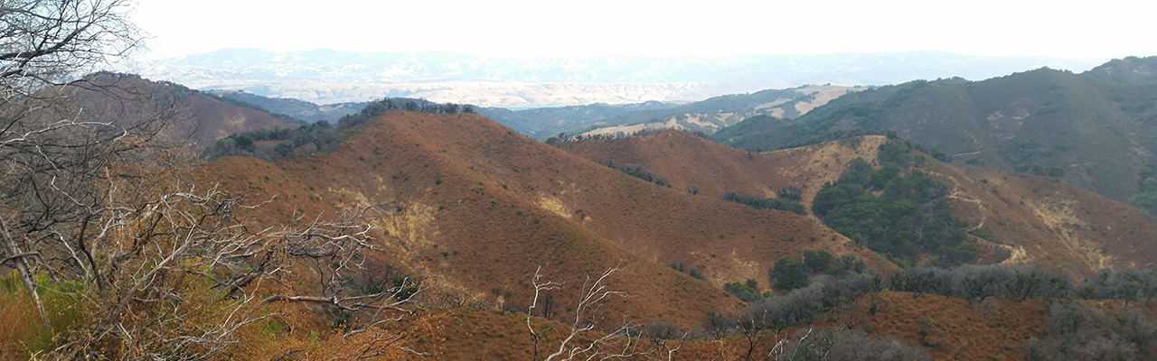 Peninsula Open Space Trust News and Press Releases